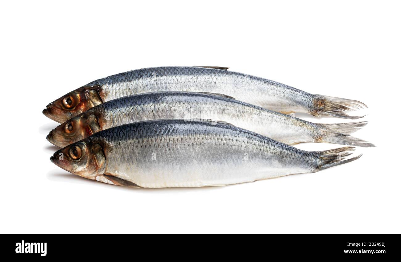 Set of fresh whole herring fish isolated on white Stock Photo - Alamy