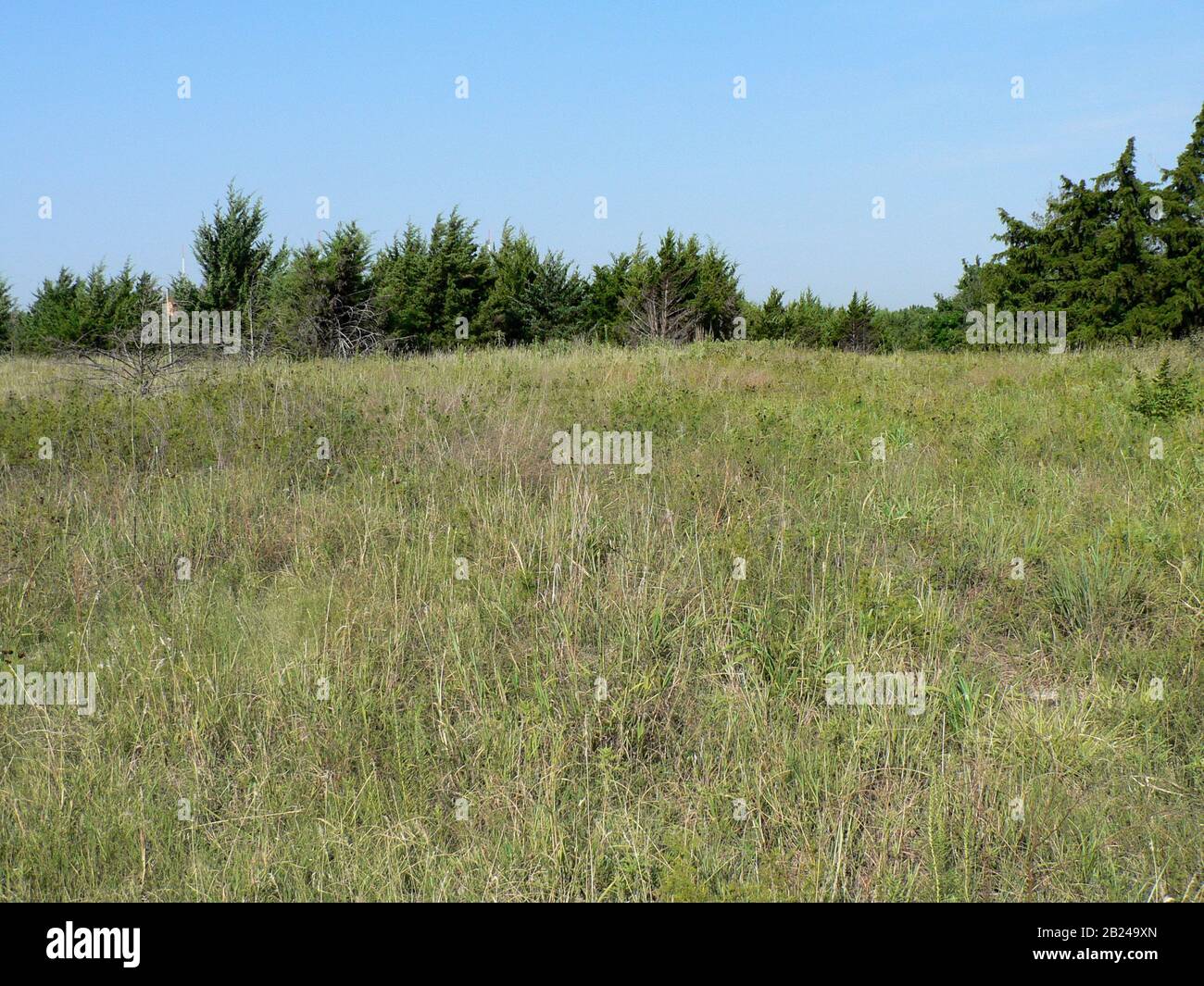 Great Plains Nature Center, Wichita, Kansas Stock Photo - Alamy