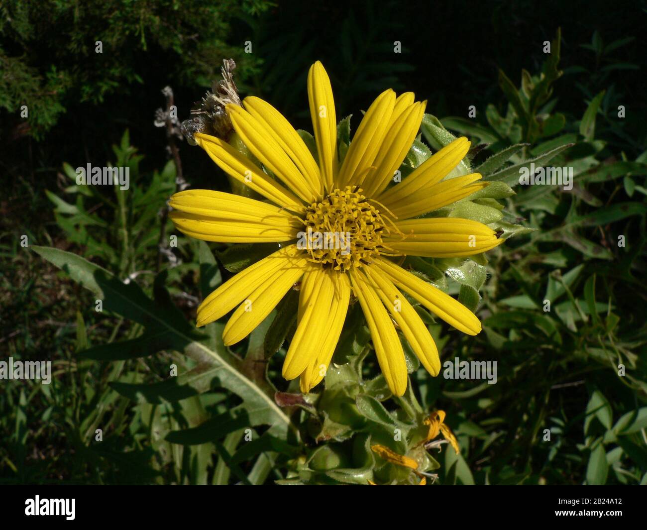 Great plains nature center hi-res stock photography and images - Alamy