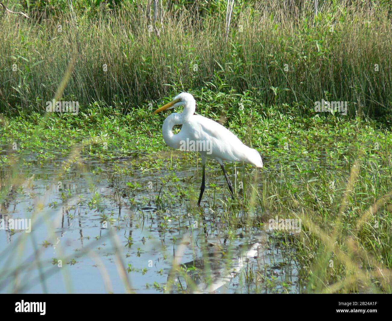 Great plains nature center hi-res stock photography and images - Alamy