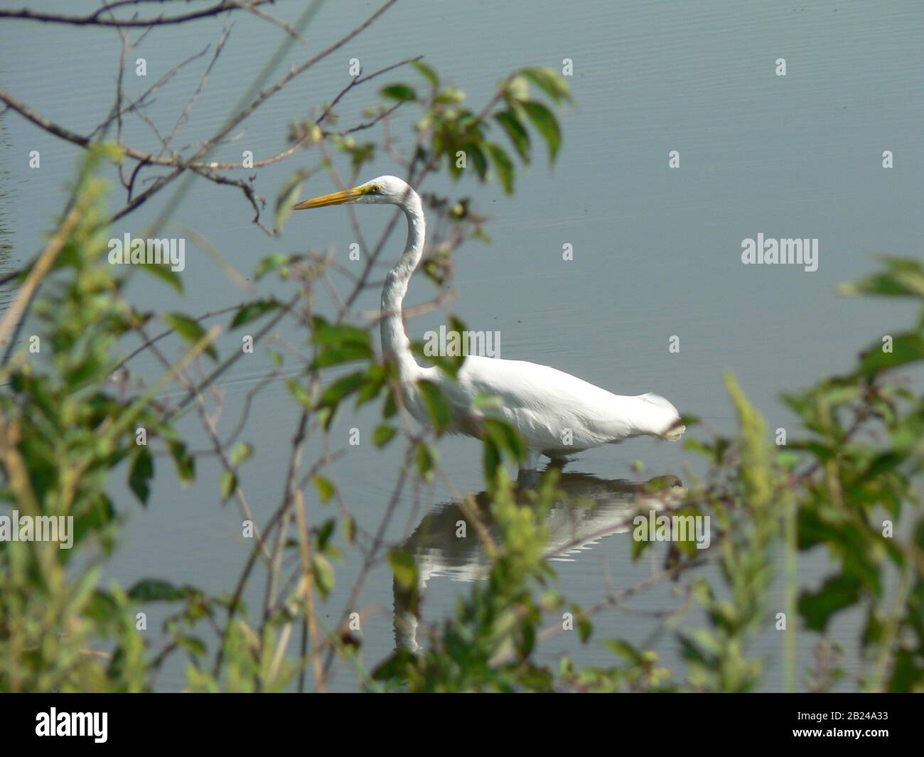 Great plains nature center hi-res stock photography and images - Alamy
