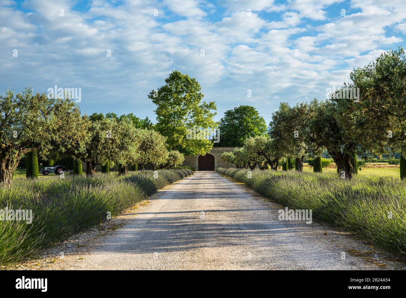 Provence cypress tree hi-res stock photography and images - Alamy