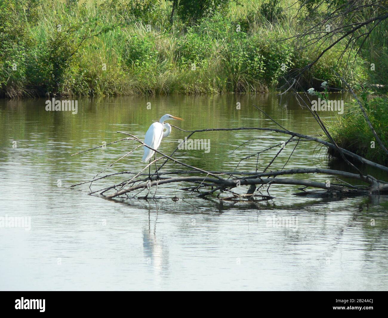 Great plains nature center hi-res stock photography and images - Alamy