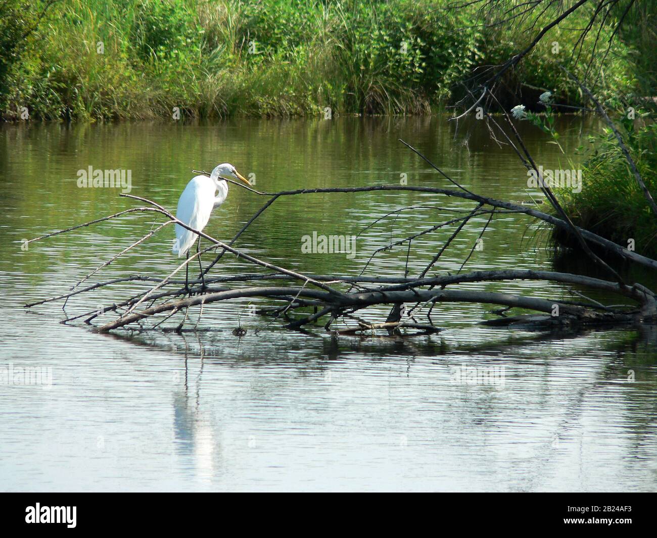 Great plains nature center hi-res stock photography and images - Alamy