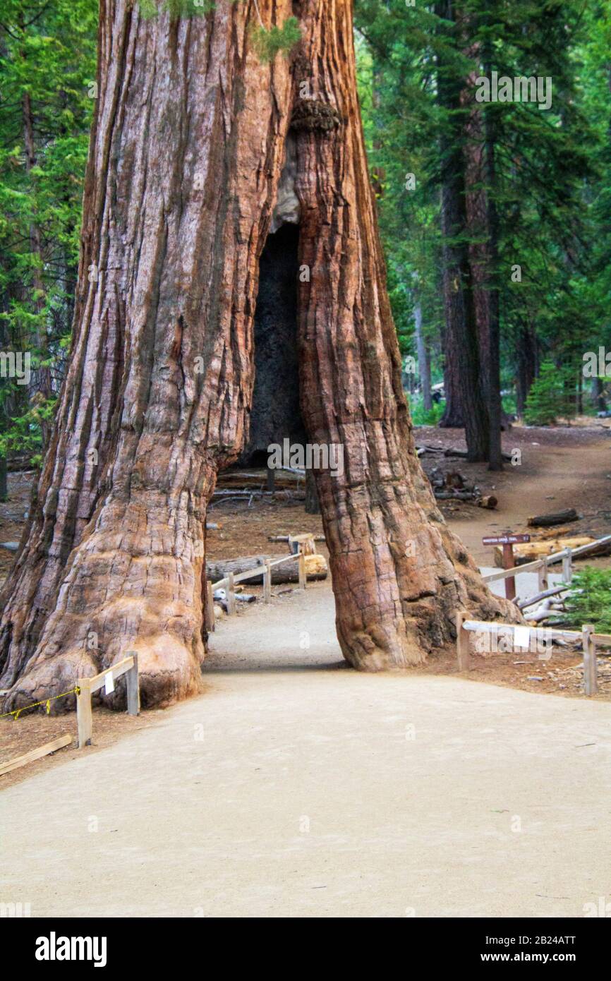 Guardians loop trail hi-res stock photography and images - Alamy