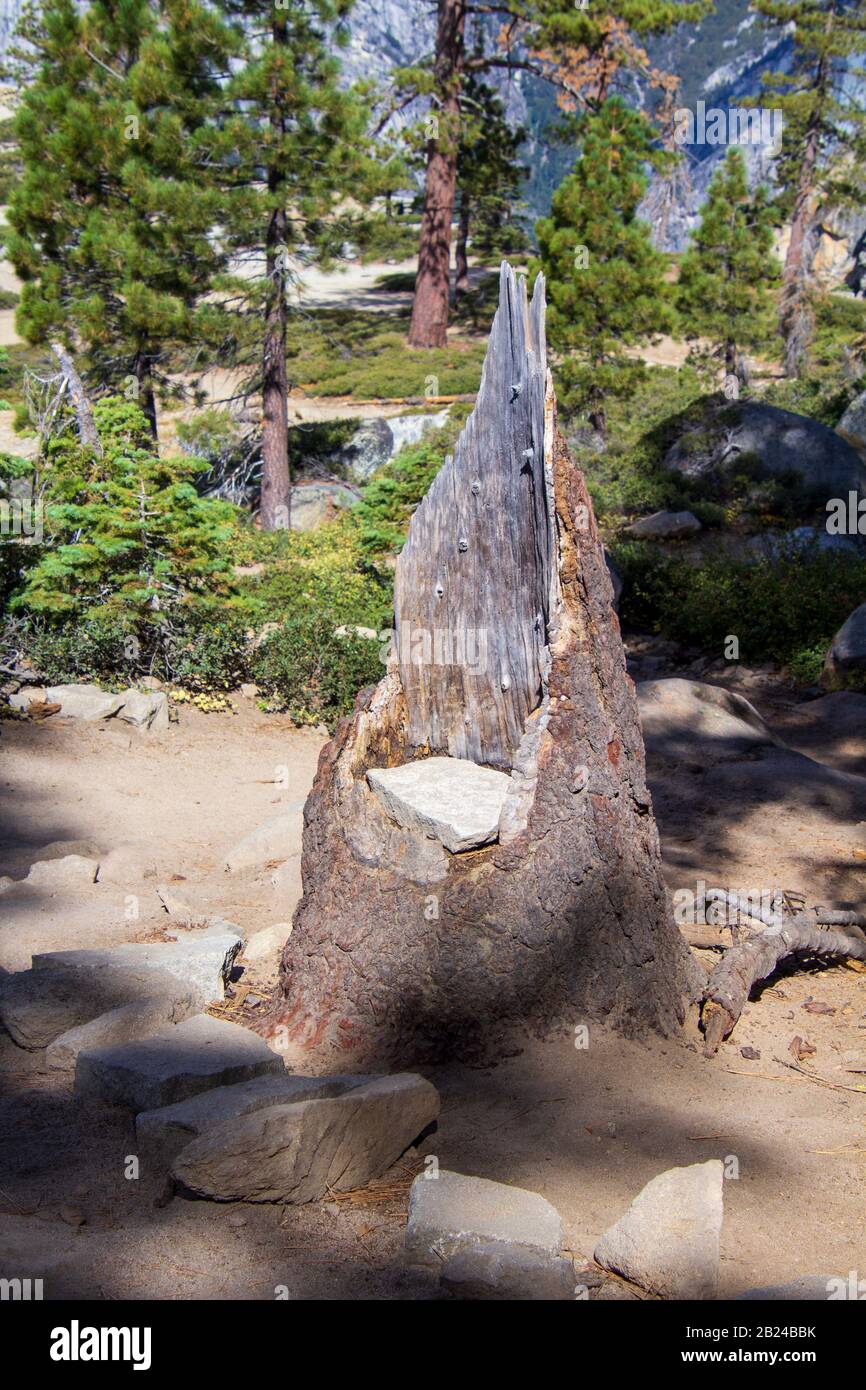 Prometheus Tree Stump