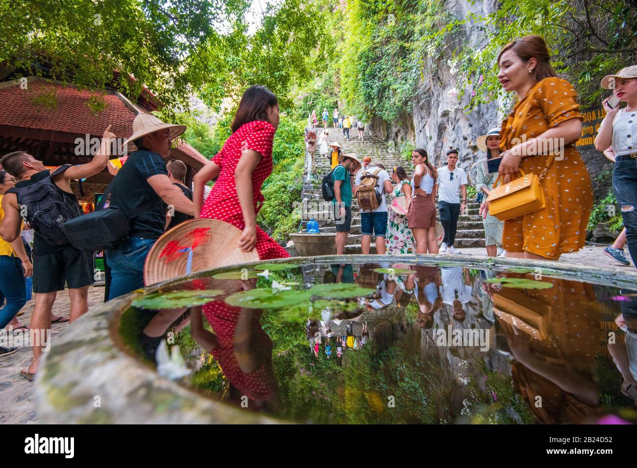 Start of the 500 steps up Hang Mua Caves caught in reflection ...