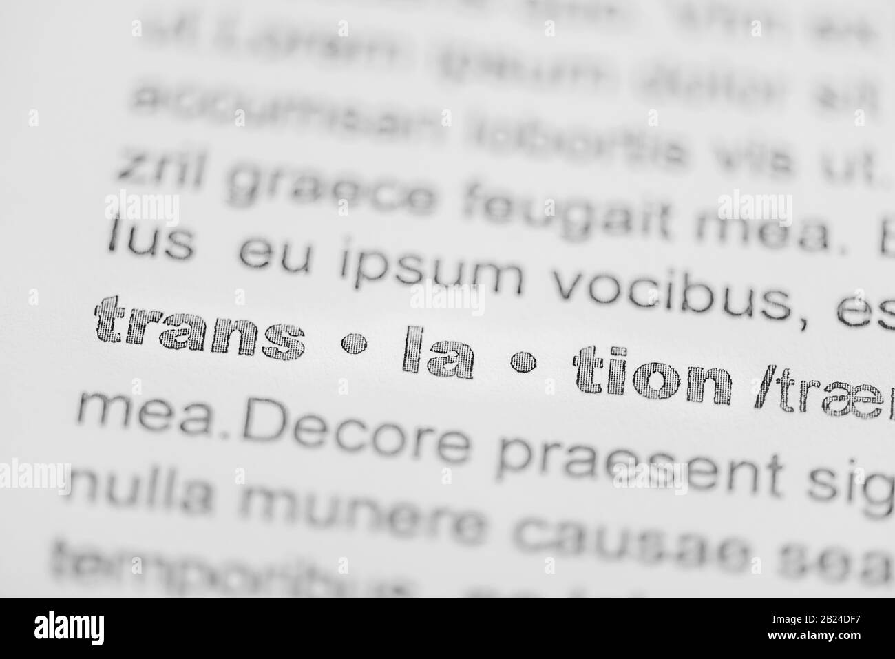 close up of word translation in text Stock Photo - Alamy