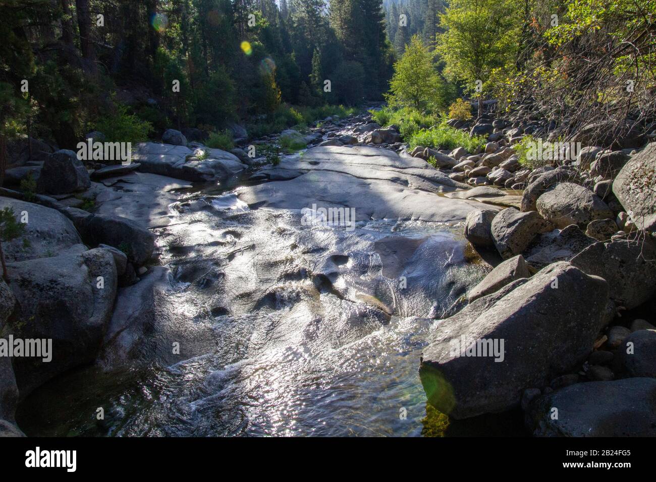 Yosemite stream and trees hi-res stock photography and images - Alamy