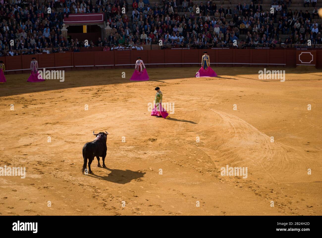 Toro flamenco hi-res stock photography and images - Alamy