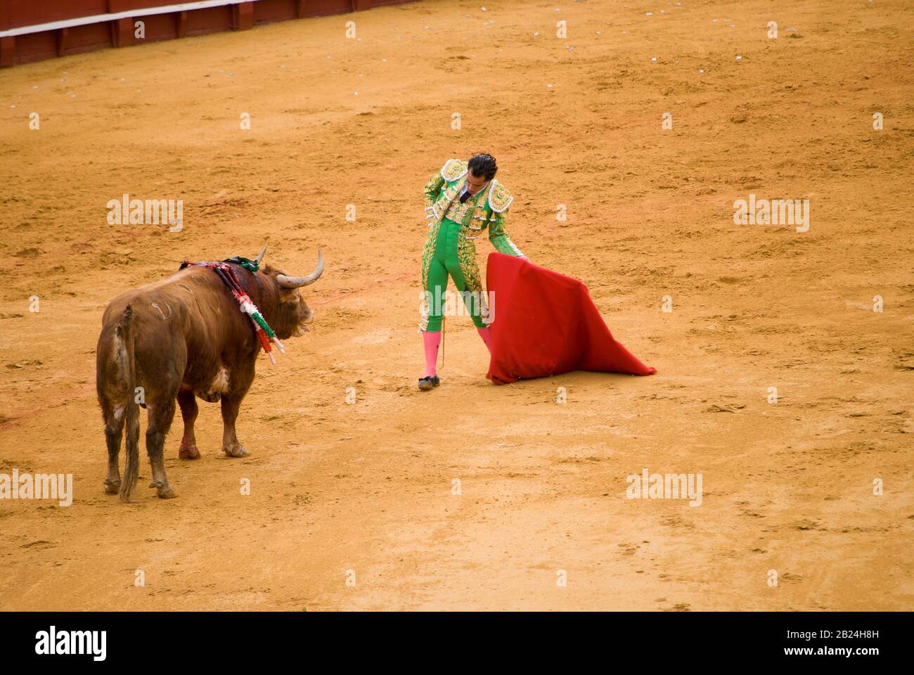 the bloody bull Stock Photo - Alamy