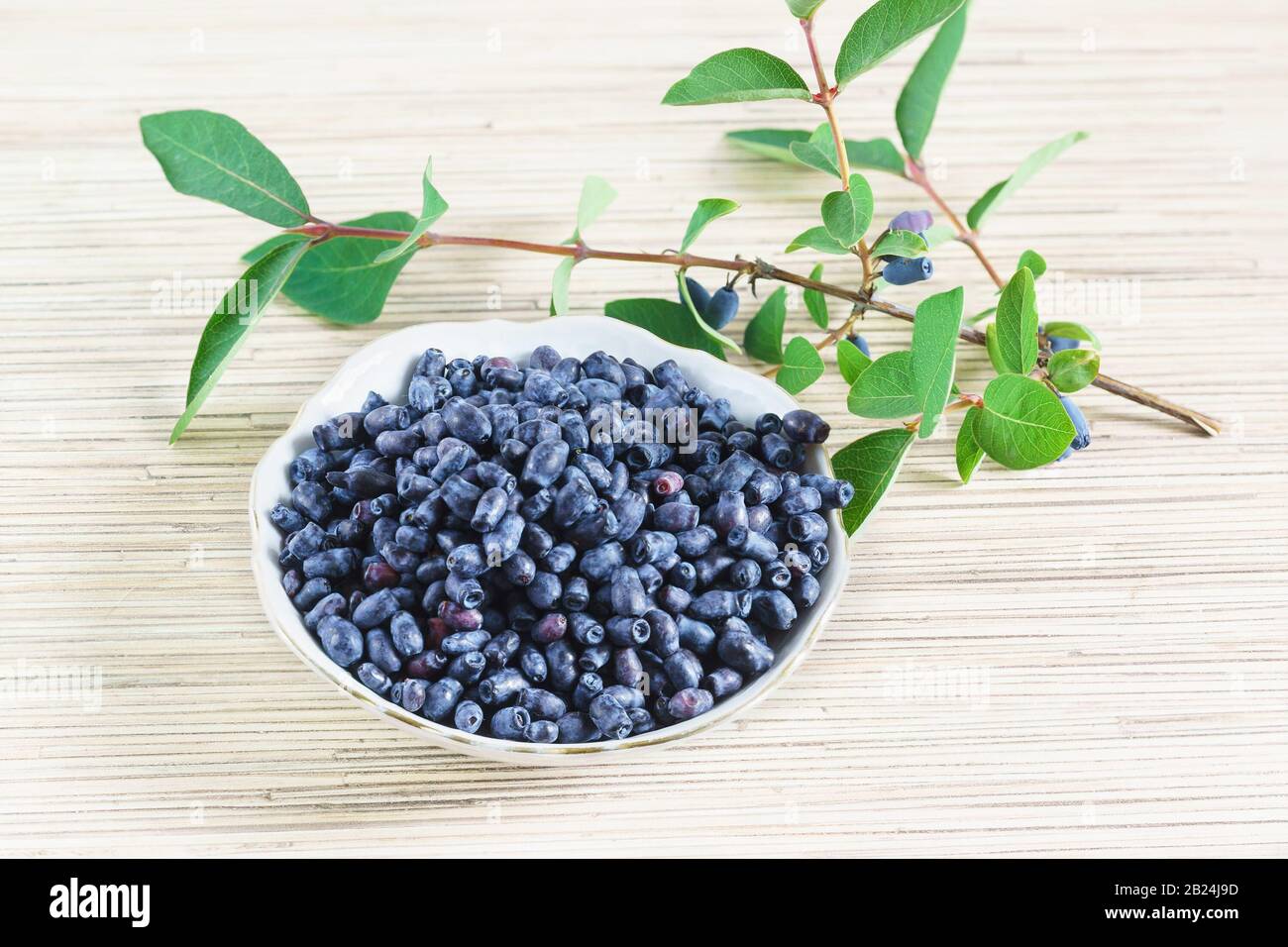 A Cup of edible blue honeysuckle (lat. Lonicera caerulea) and the far ...