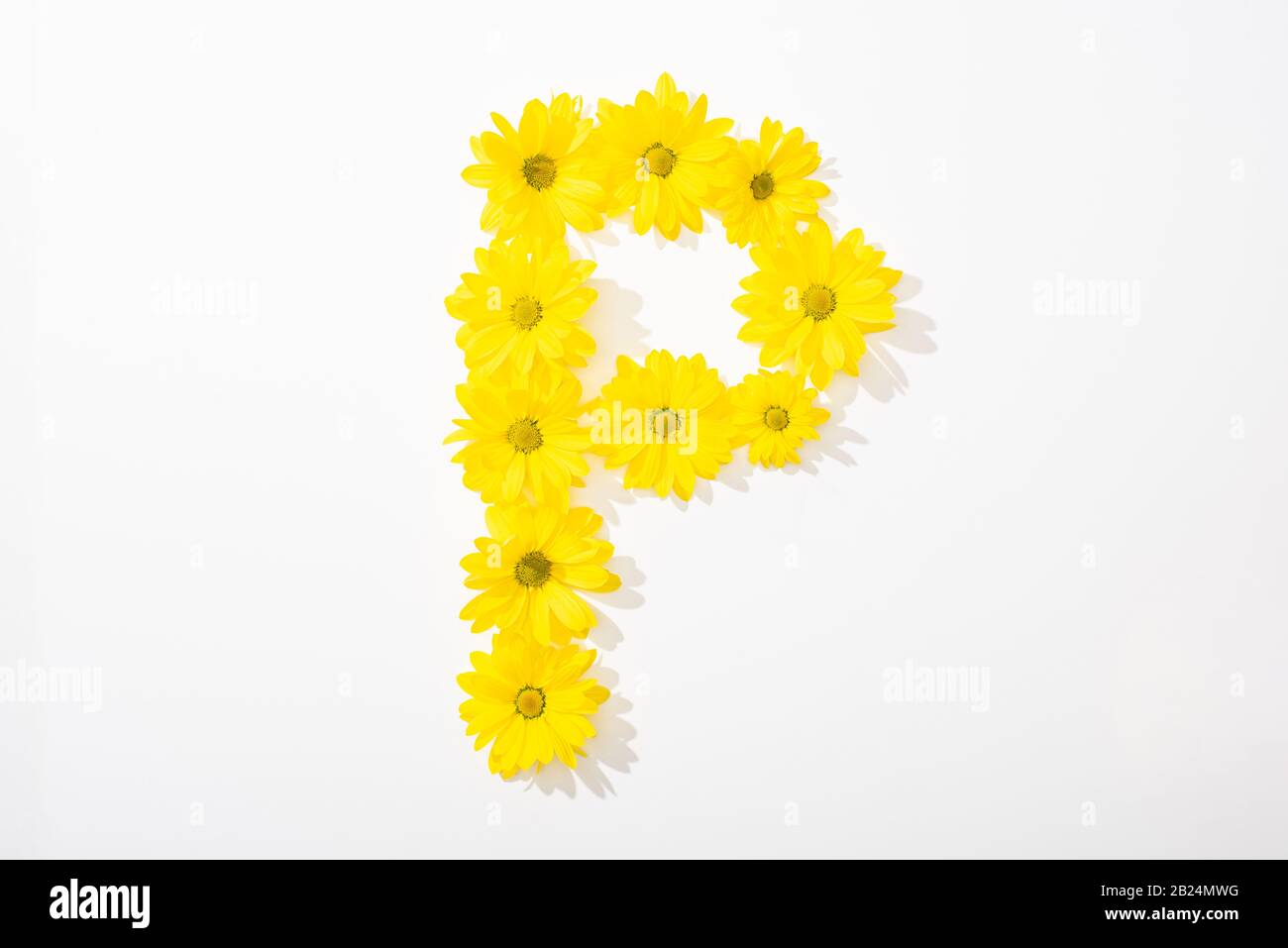 top view of yellow daisies arranged in letter P on white background ...