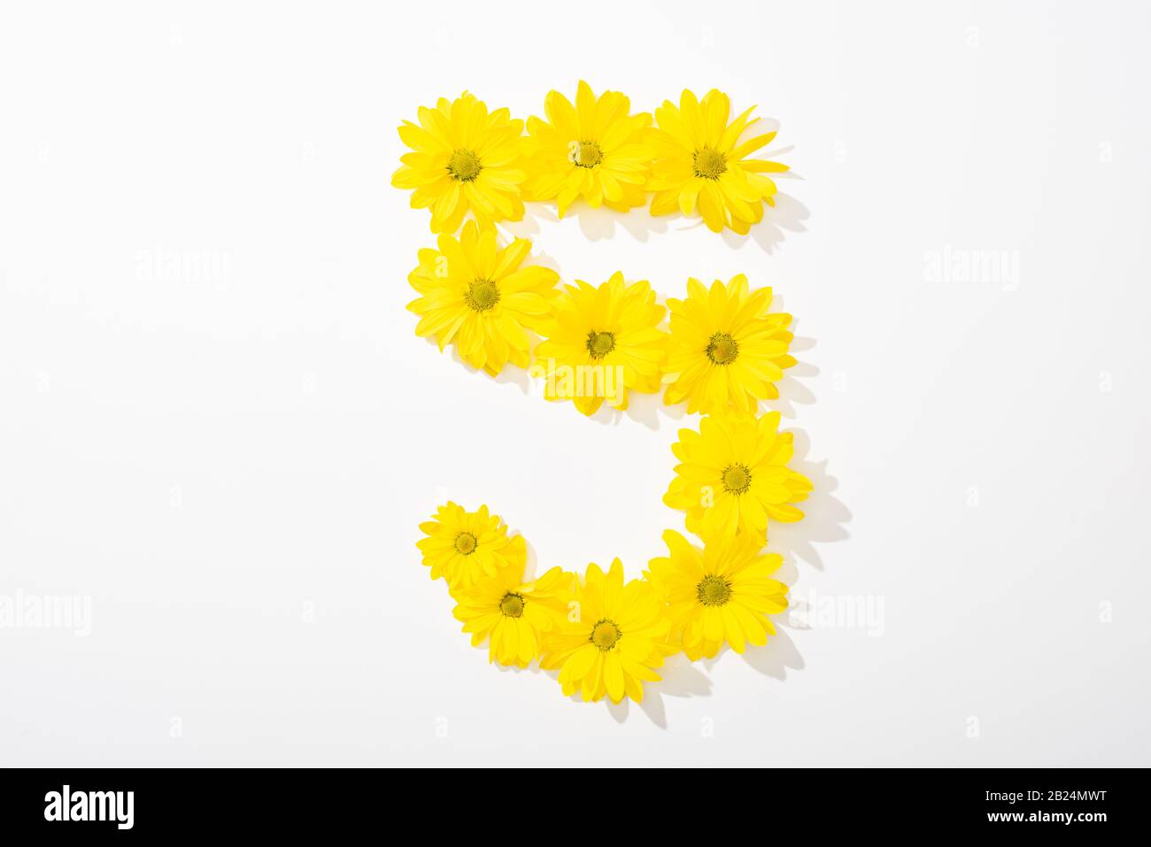 top view of yellow daisies arranged in number 5 on white background ...