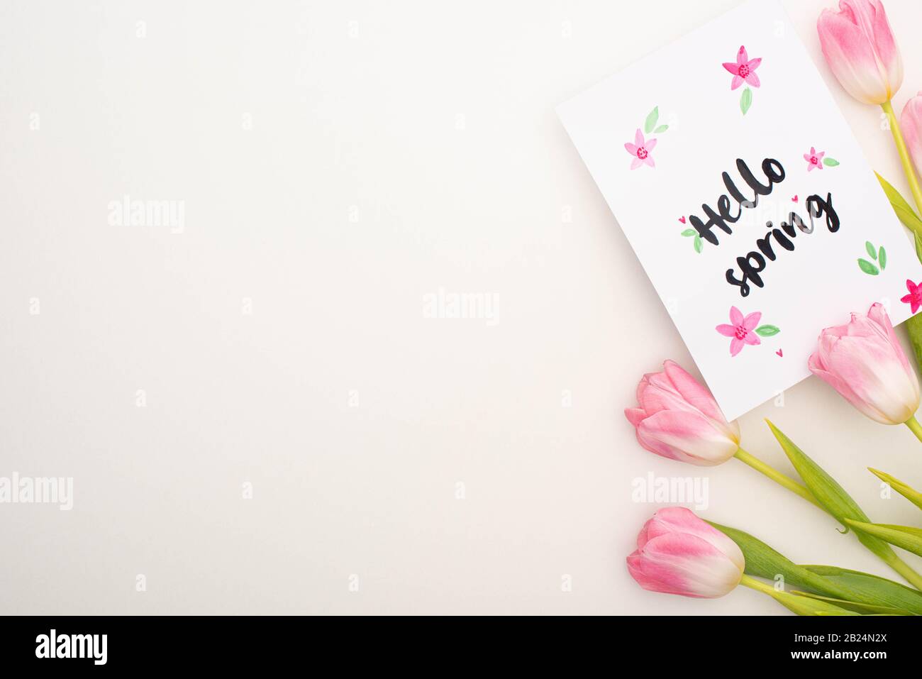 Top view of card with hello spring lettering and tulips on white ...