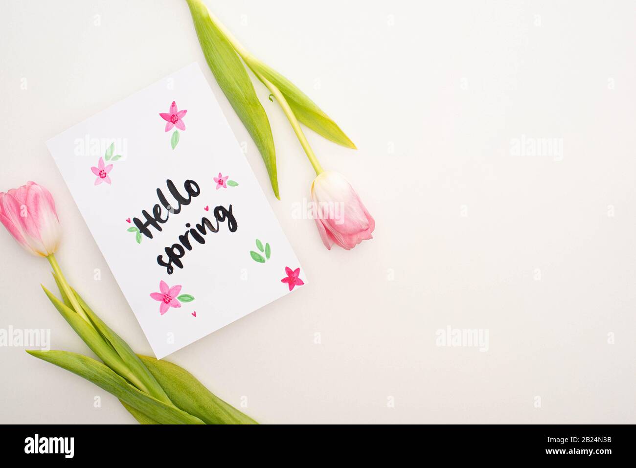 Top view of tulips and card with hello spring lettering on white ...