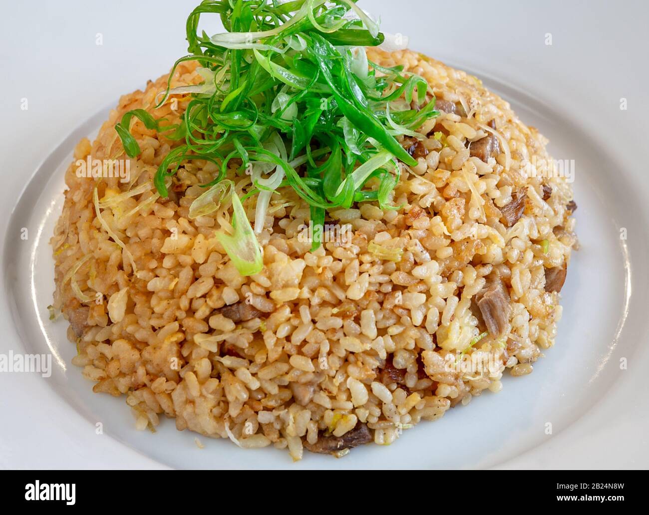 Algae food plate hi-res stock photography and images - Alamy