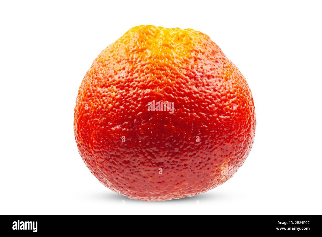 A big red orange on a white background, a close-up. Isolate Stock Photo ...