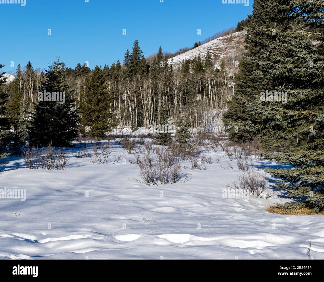 Fullerton loop hi-res stock photography and images - Alamy