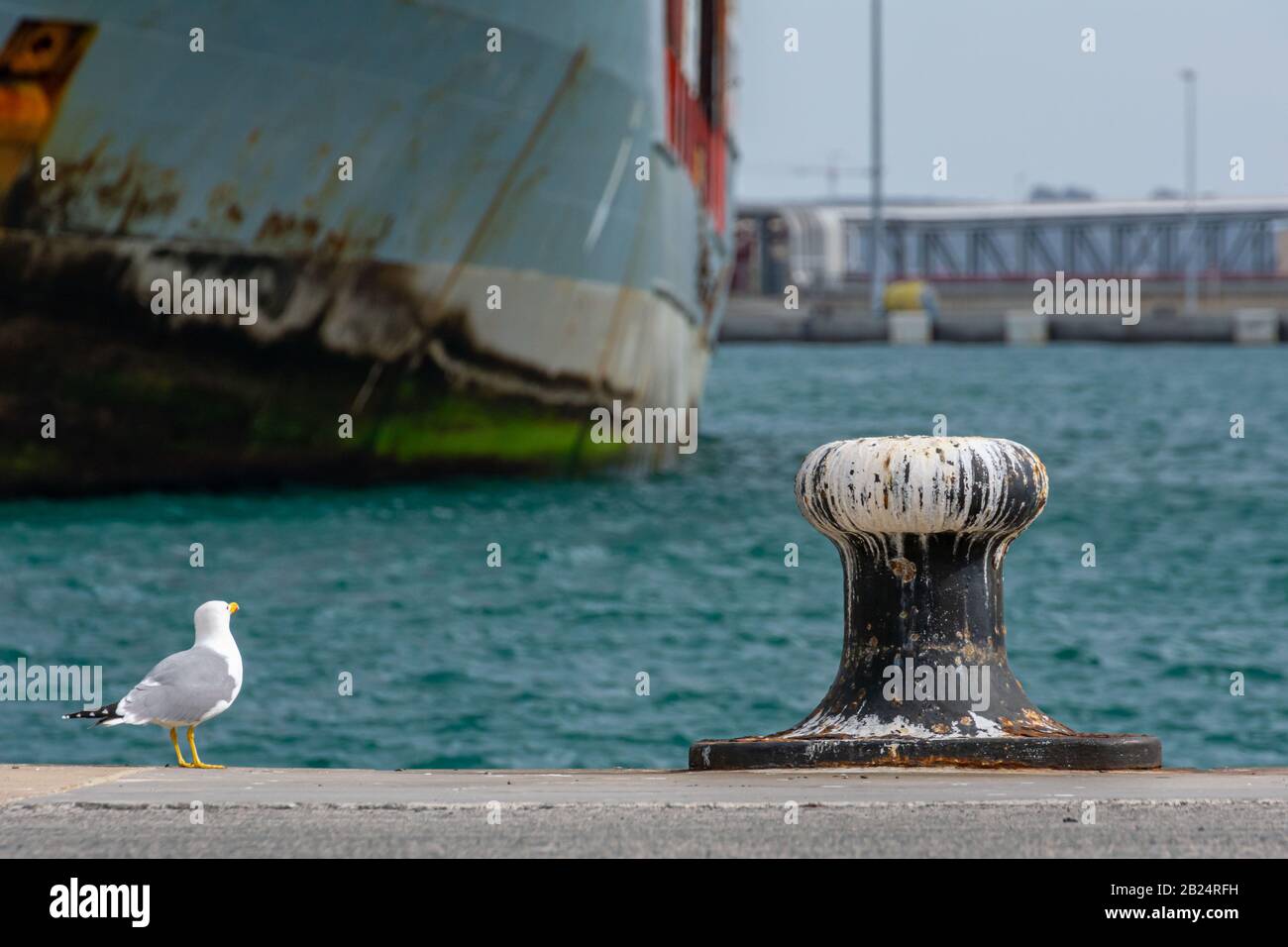 Bollard for mooring ships stained by seagull droppings Stock Photo - Alamy