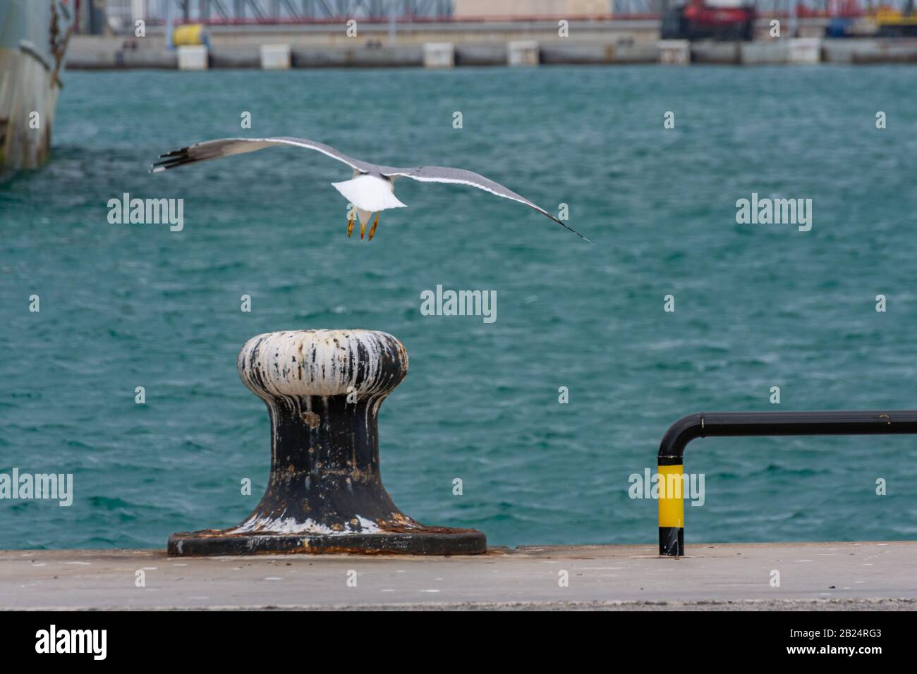 Bollard for mooring ships stained by seagull droppings Stock Photo - Alamy