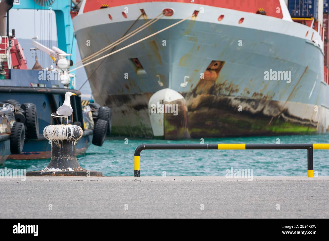 Seagull Droppings Stock Photos & Seagull Droppings Stock Images - Alamy