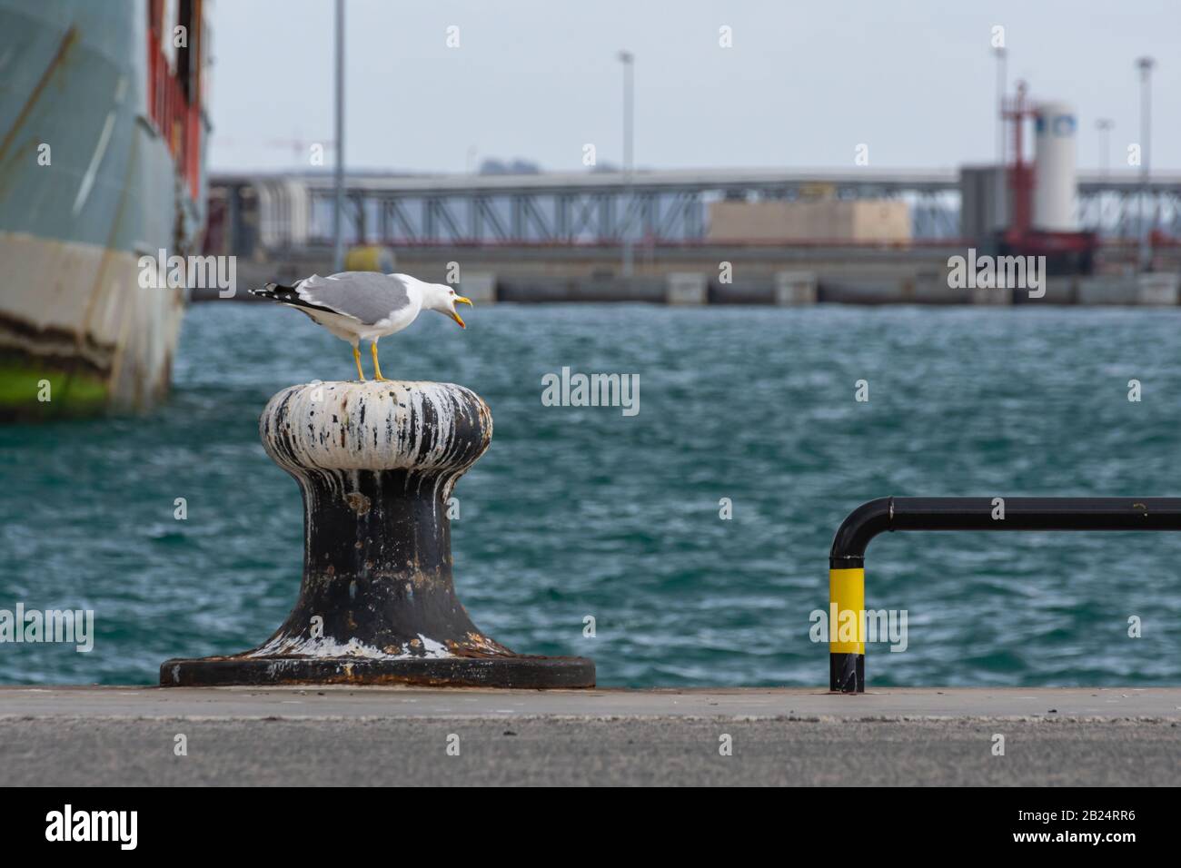 Bollard for mooring ships stained by seagull droppings Stock Photo - Alamy