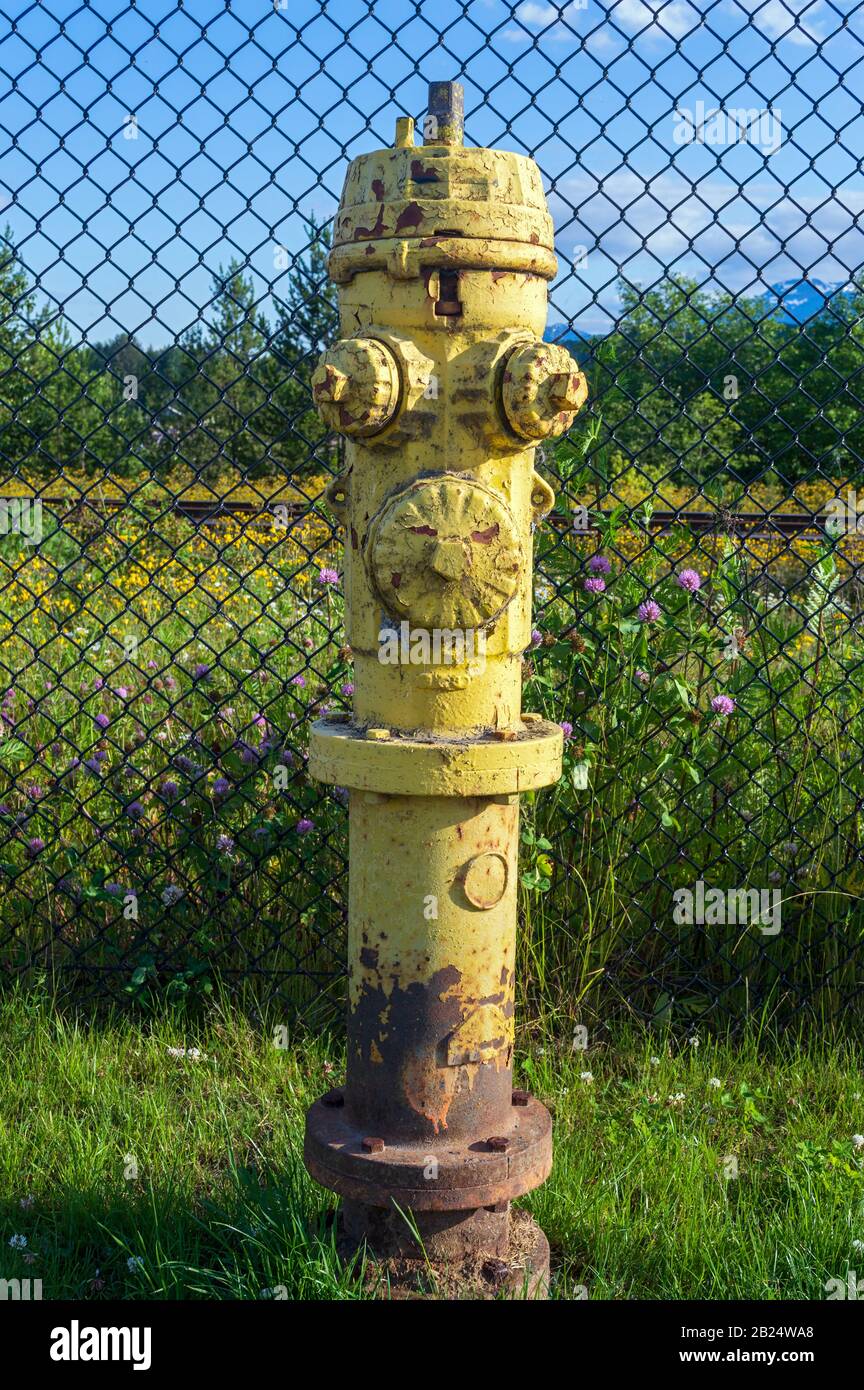A rusty yellow fire hydrant by a fence Stock Photo - Alamy