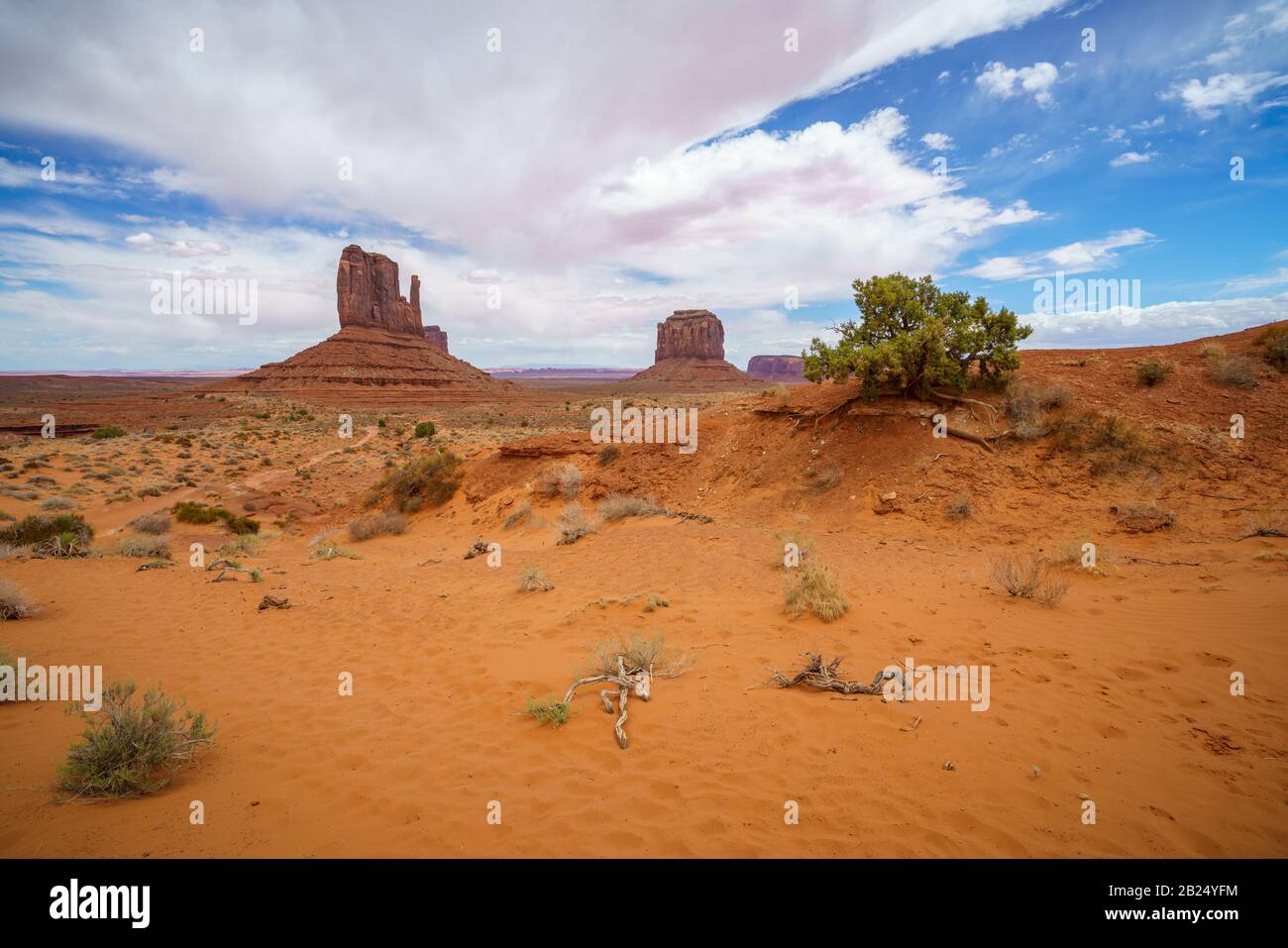 Wildcat trail hi-res stock photography and images - Alamy