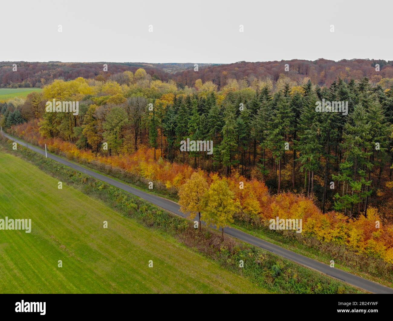 Belgium fall color scene scenery hi-res stock photography and images ...