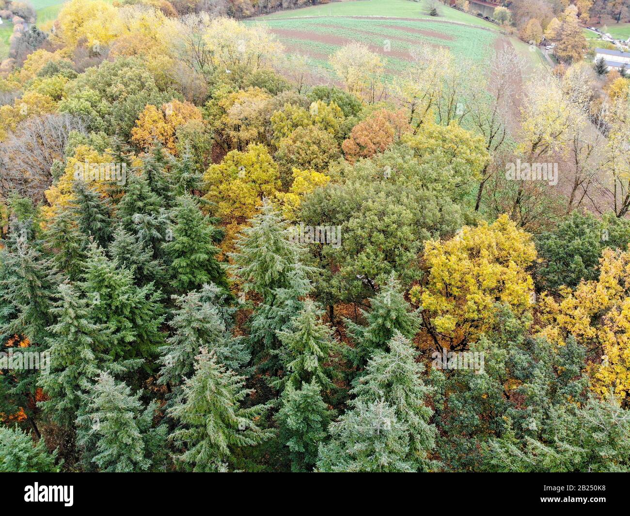 Belgium fall color scene scenery hi-res stock photography and images ...