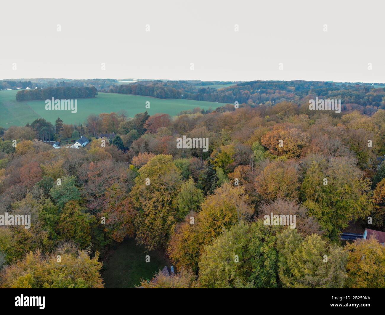 Belgium fall color scene scenery hi-res stock photography and images ...