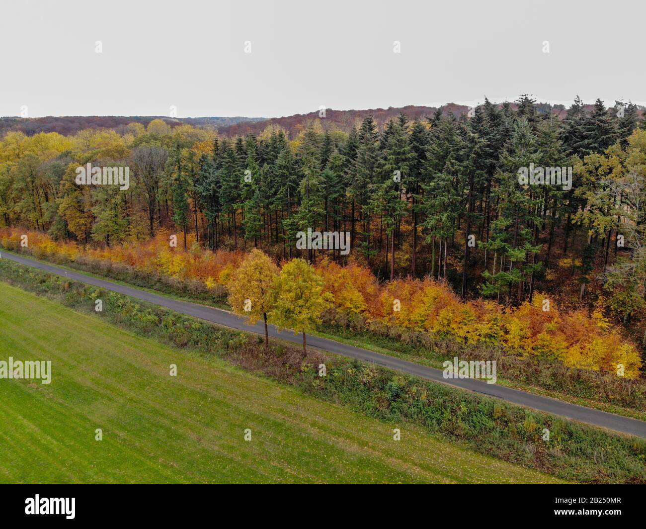 Belgium fall color scene scenery hi-res stock photography and images ...
