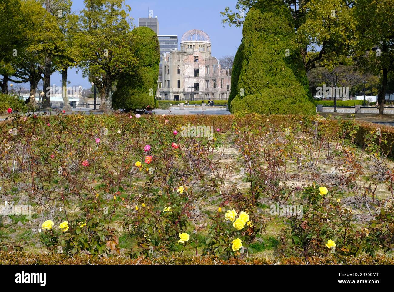 Hiroshima Flower High Resolution Stock Photography and Images - Alamy