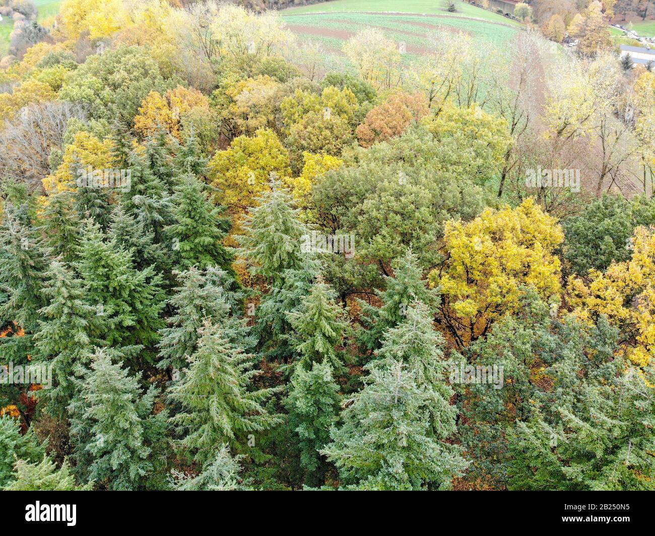 Belgium fall color scene scenery hi-res stock photography and images ...