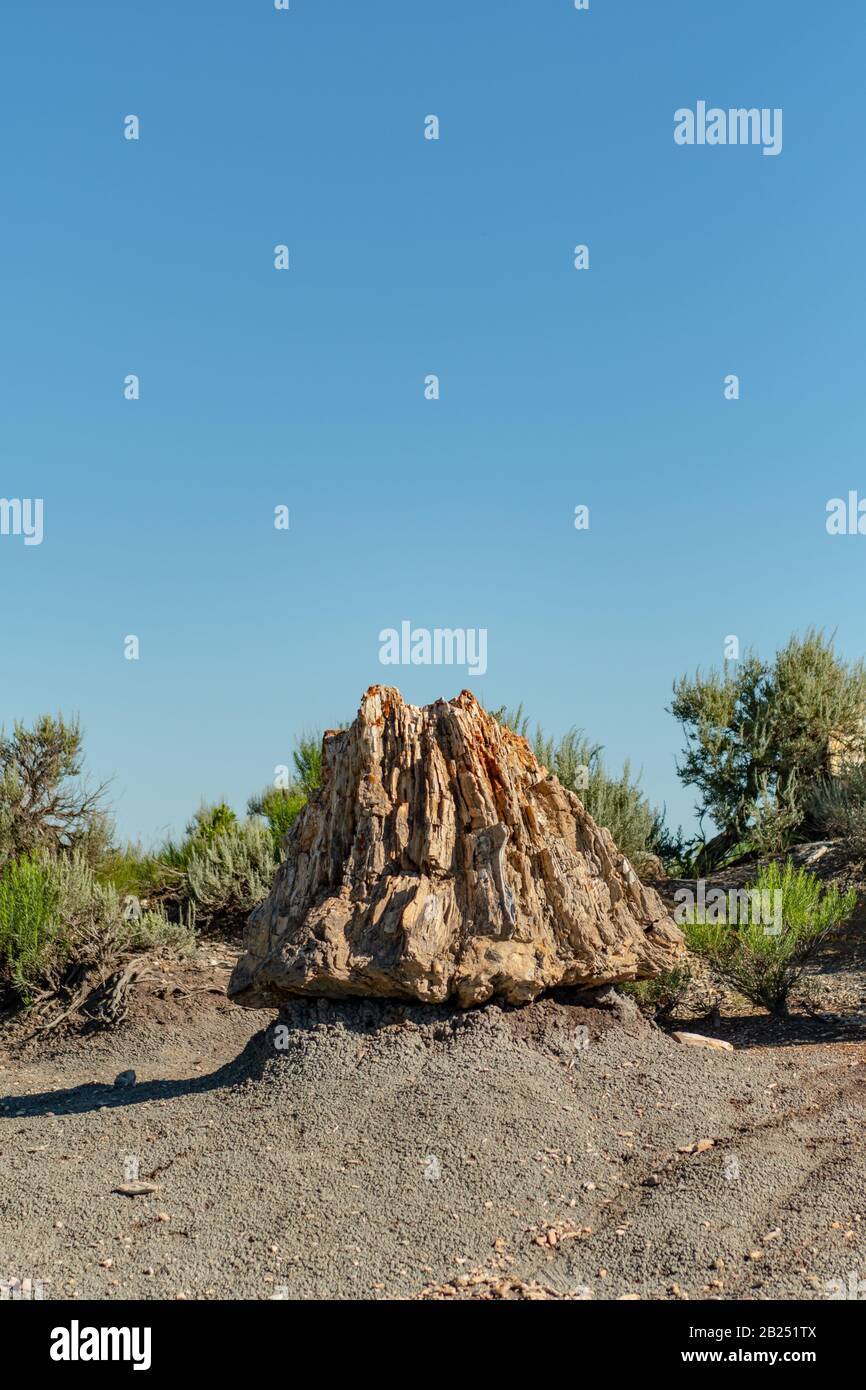 Petrified mud hi-res stock photography and images - Alamy