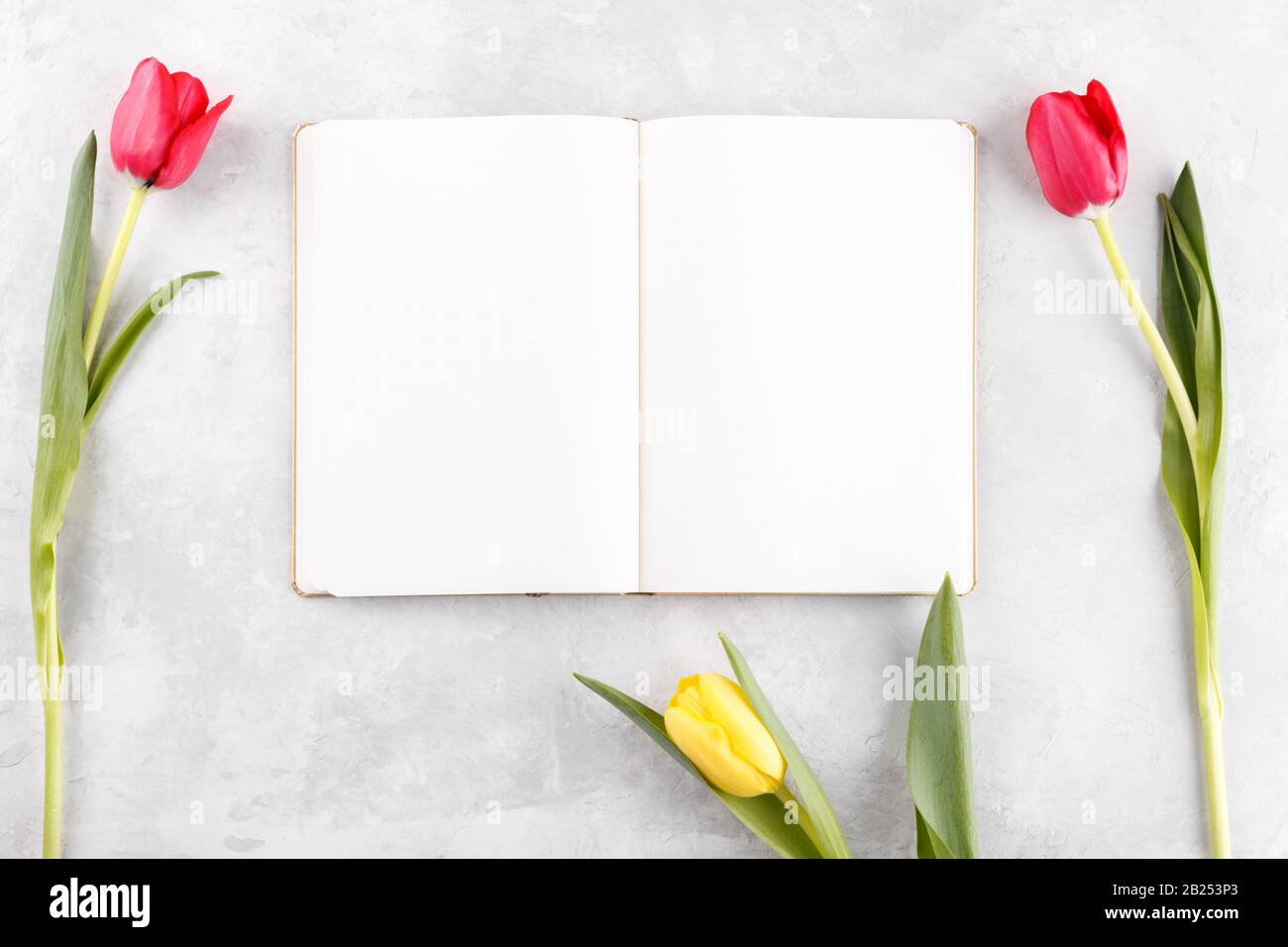 Open notepad and spring flowers on grey stone background copy space ...
