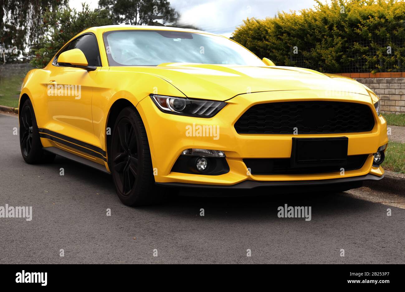 Transportation: Bright yellow Stang automobile, in the streets, wild ...