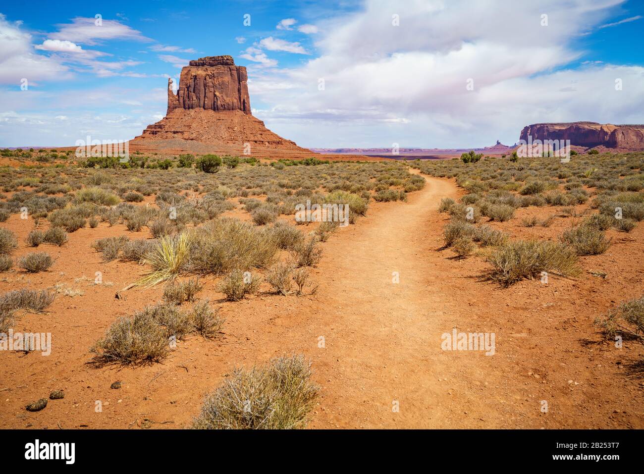 Wildcat trail hi-res stock photography and images - Alamy
