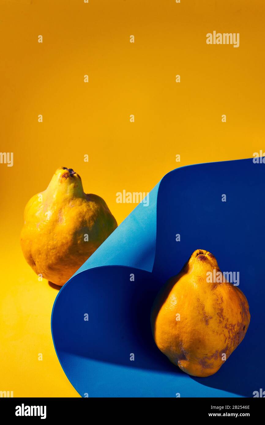 Large yellow quince fruits on a contract background Stock Photo - Alamy