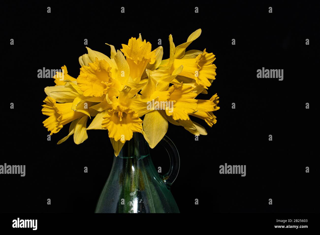 Daffodil flower vase hi-res stock photography and images - Alamy
