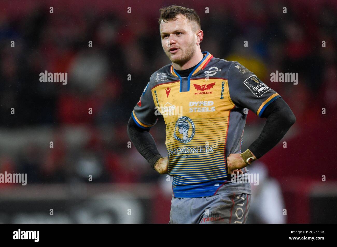 Guinness pro14 photos hi-res stock photography and images - Alamy