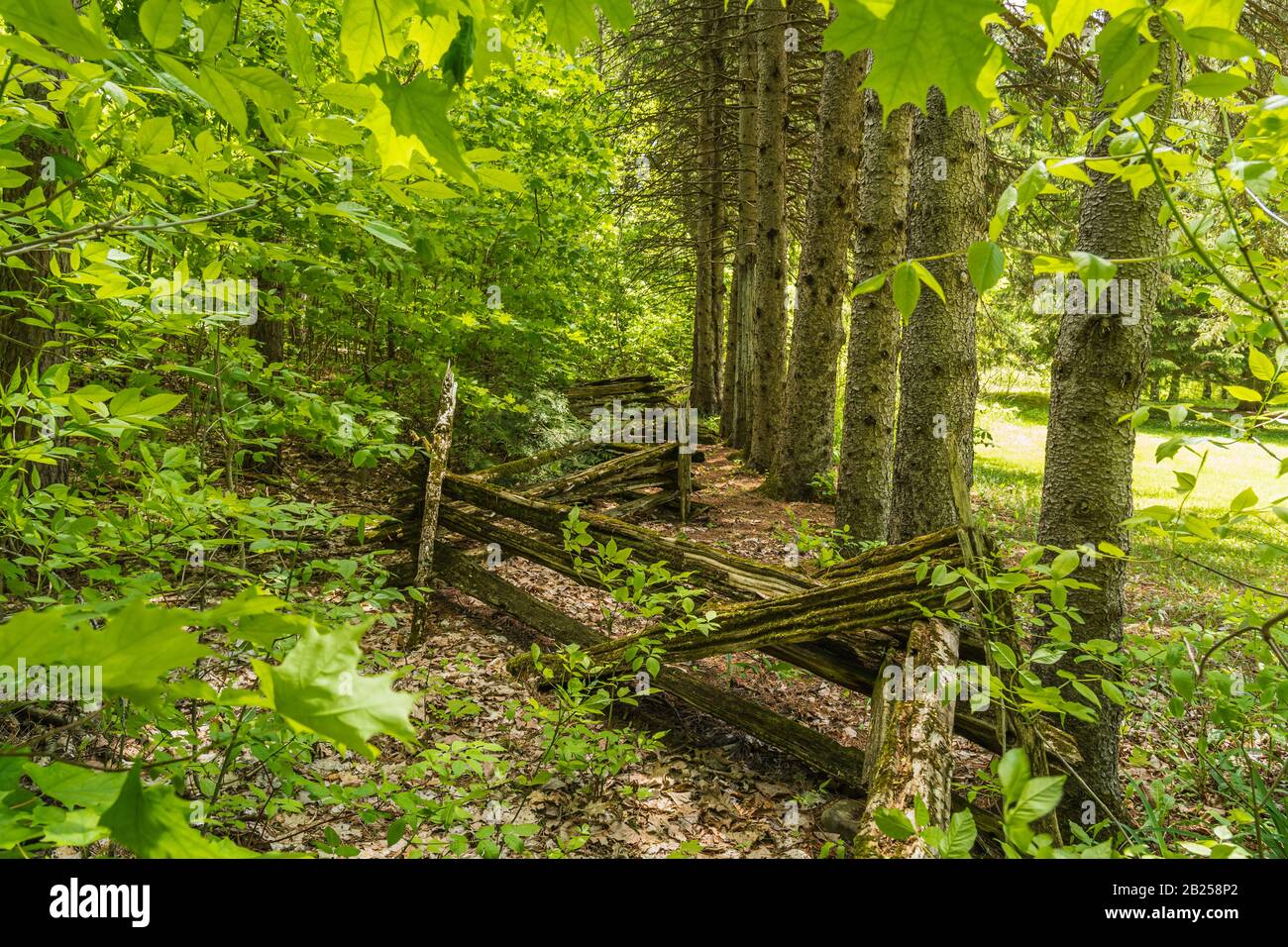 O'Hara Settlement and Homestead Provincial Park Madoc Ontario Canada in ...