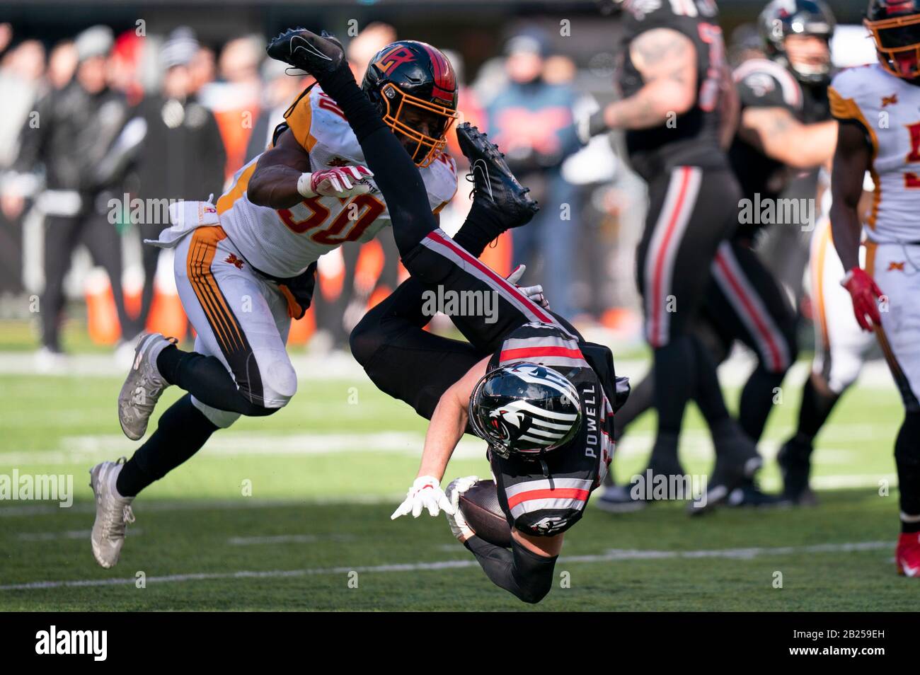 Gause hi-res stock photography and images - Alamy