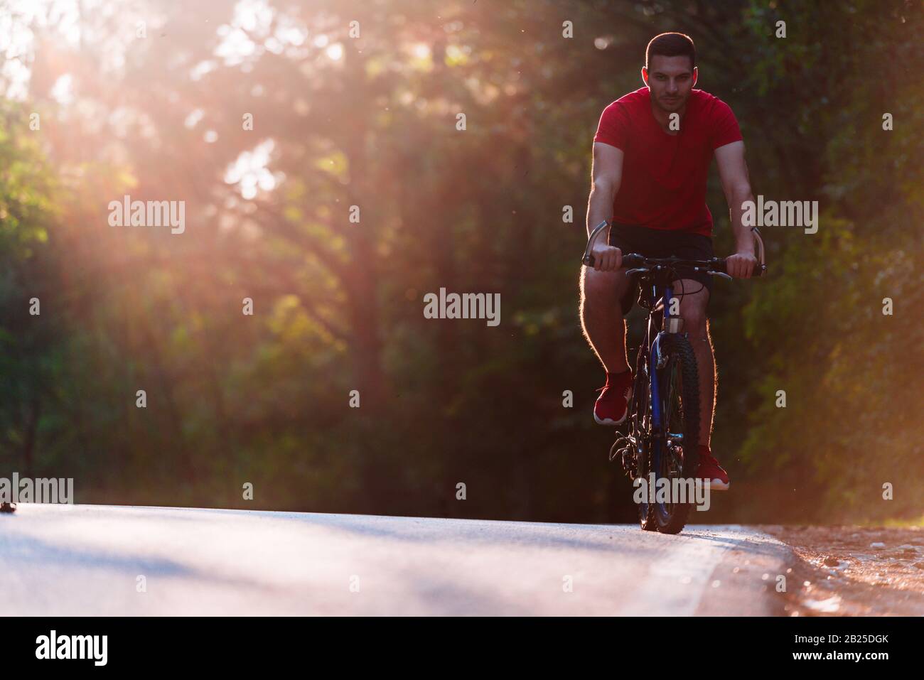 Male cyclist riding his bike on sunset on a road through deep woods ...