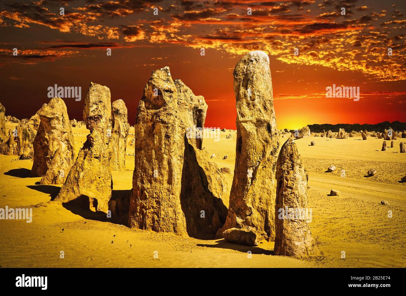Pinnacles a natural attraction of Western Australia in the Nambung ...