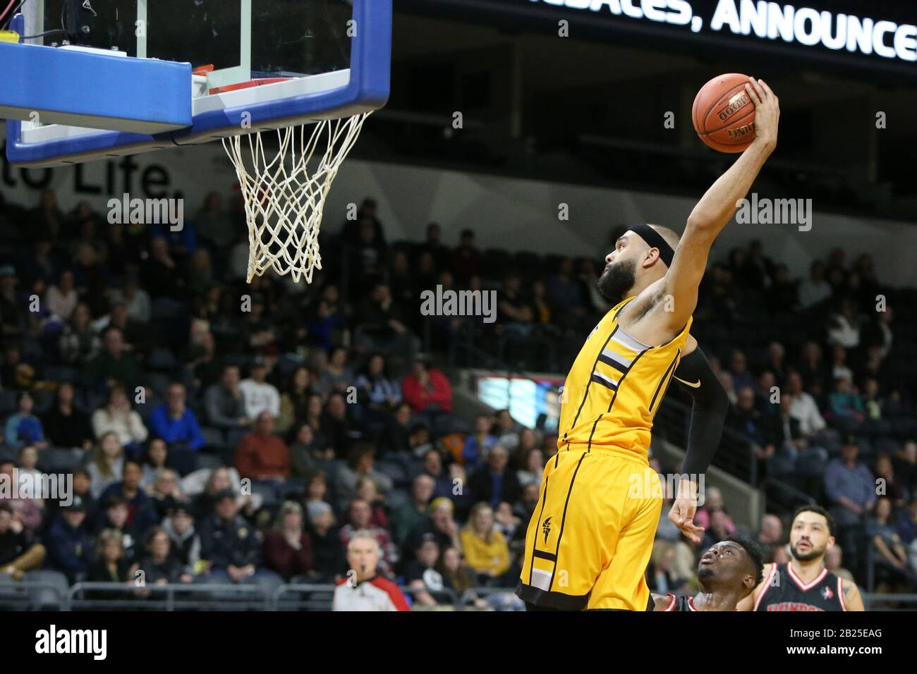 29th of February 2020. The London lightning beat the Windsor Express in ...
