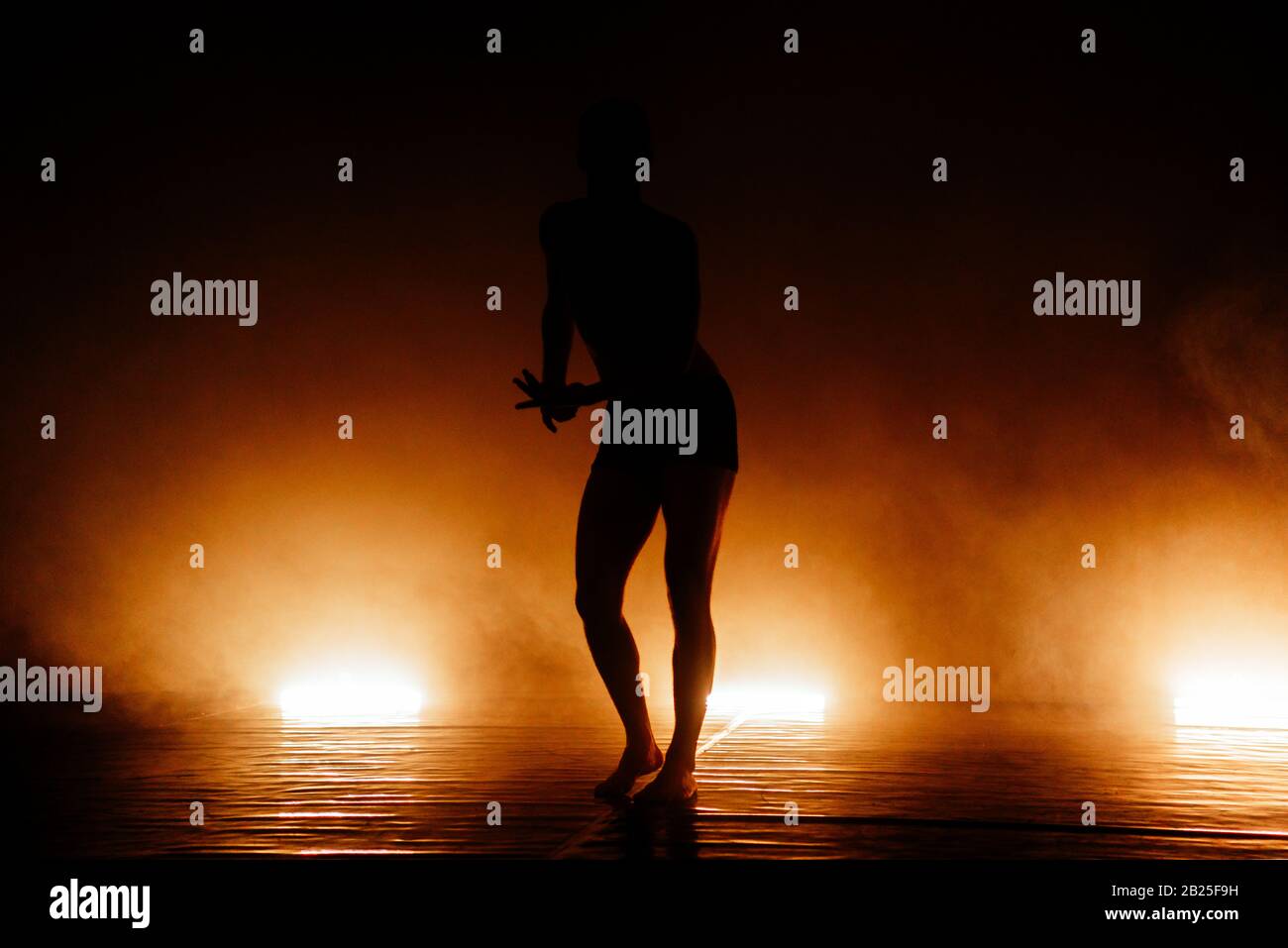 Elegant ballet dancers exercising poses during a dance class Stock ...