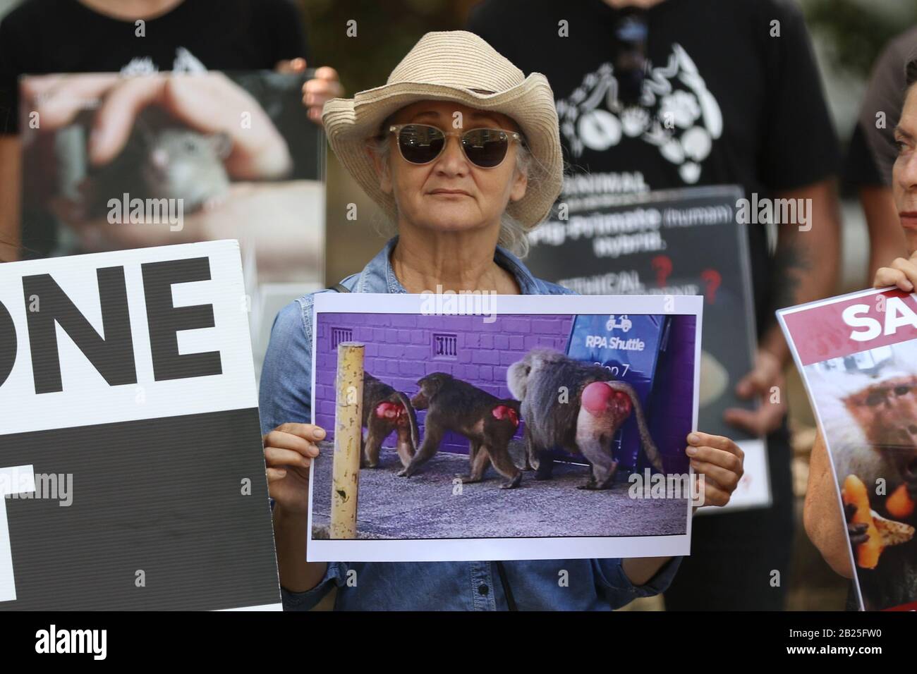 Sydney, Australia. 1 March 2020. Animal Justice Party NSW senator Emma ...