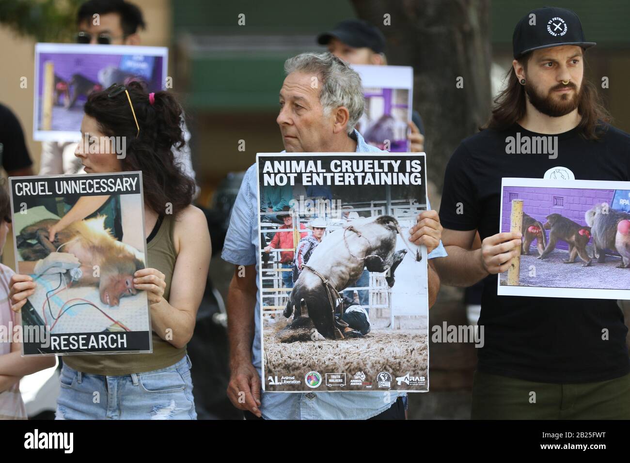 Save the baboons hi-res stock photography and images - Alamy